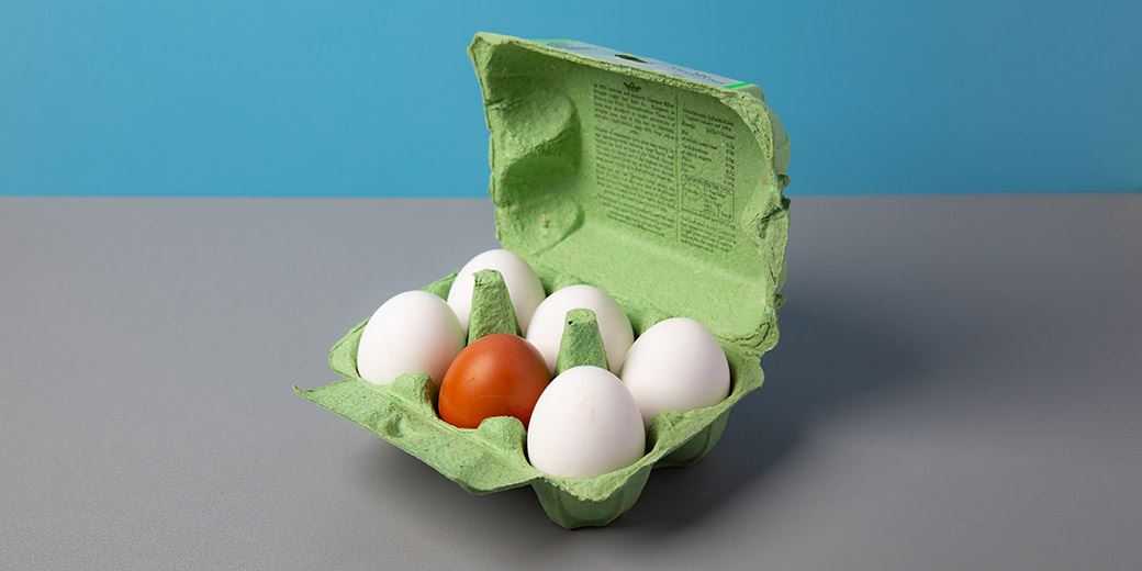 'You can construct amazing portfolios at the moment': How DFMs are ...