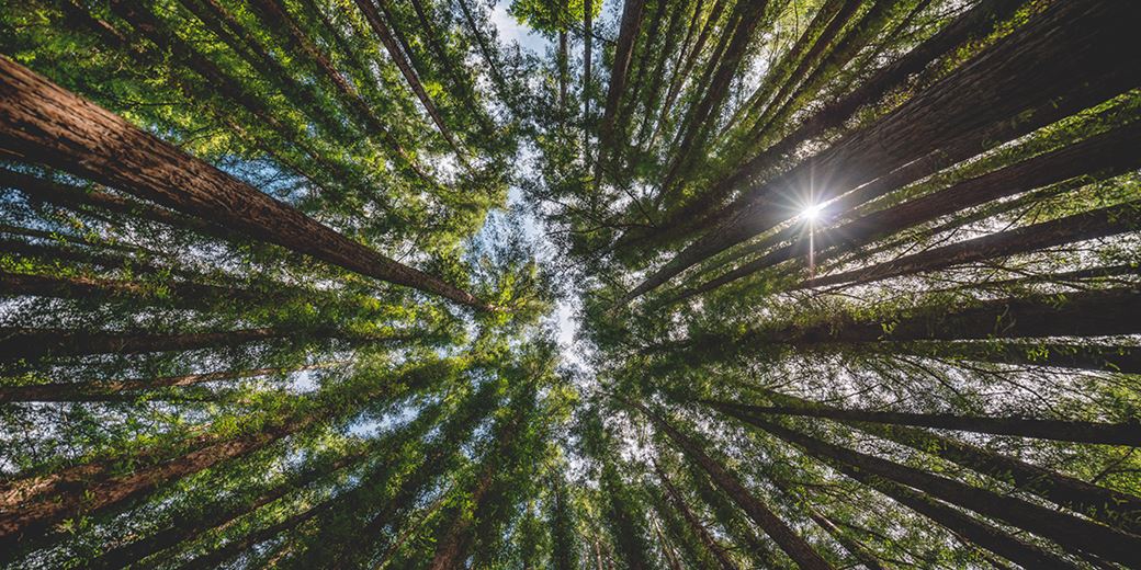 Expert View: Next 15, Haleon, Moonpig, Experian, NatWest