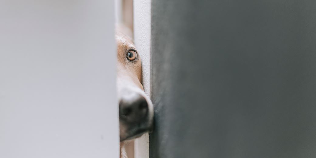 Citywire Selector | Fed Hermes credit boss sues neighbours for €29k ...