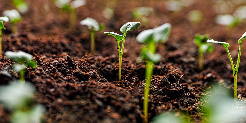 Royal London Asset Management hires head of ESG research