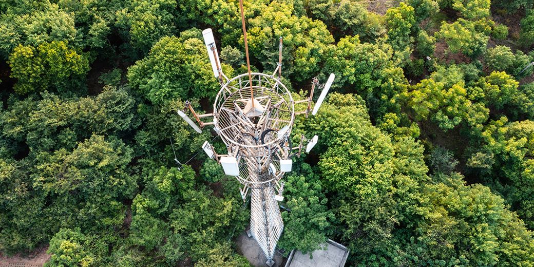 Expert View: Calnex, Future, Accrol, SSP, Renew