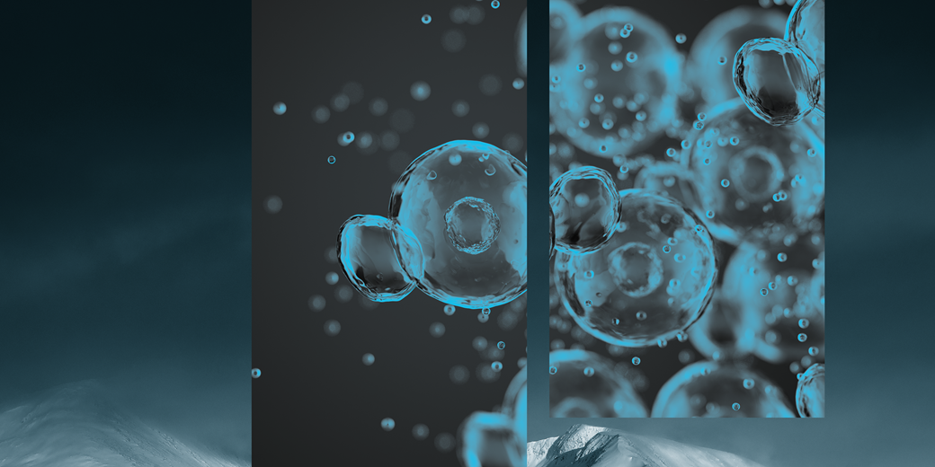 Fifty shades of hydrogen