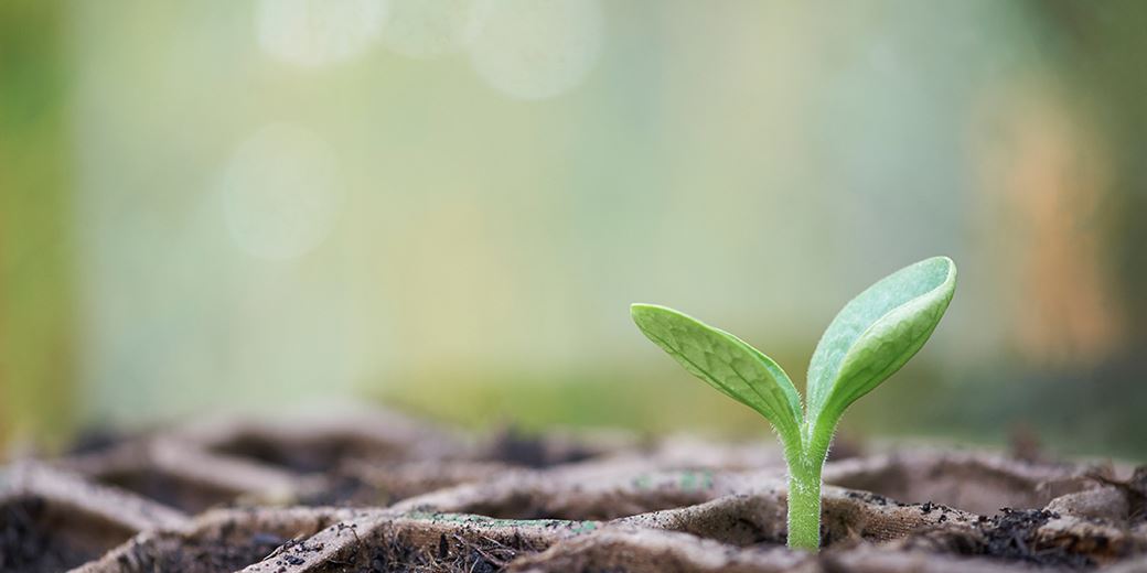 Ex-Deloitte and UBS environmental head founds net-zero consultancy