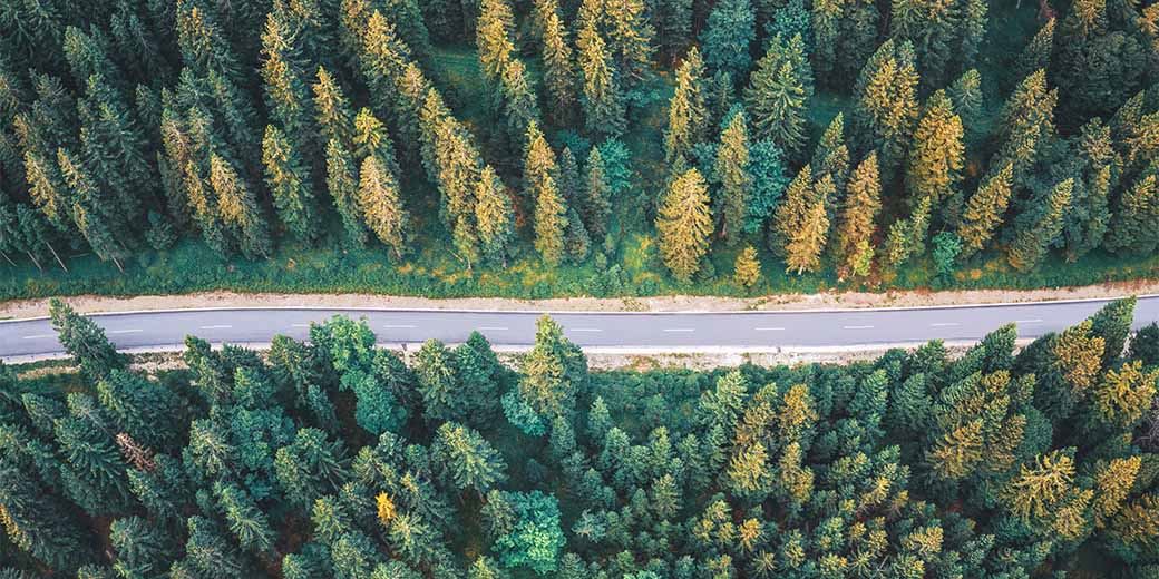 UBS, Standard Chartered and BNP back carbon trading platform