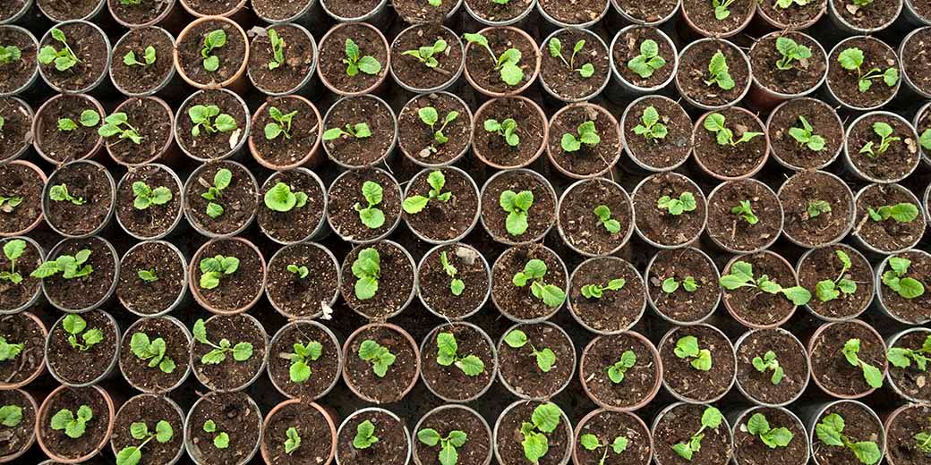 The five stages of ESG evolution