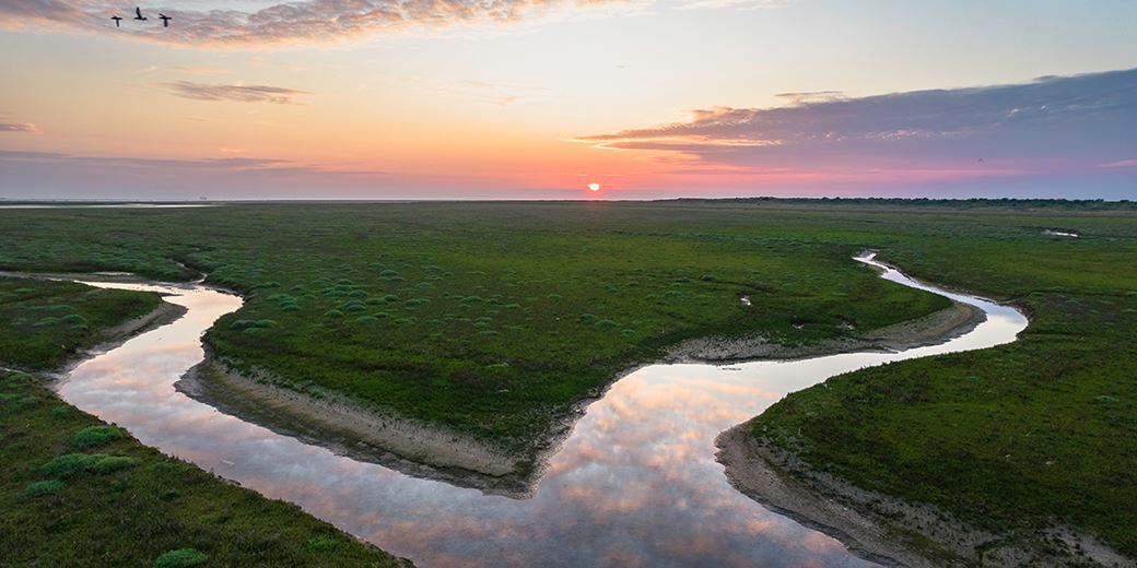 ‘Great ESG backlash’: Green fund outflows in billions