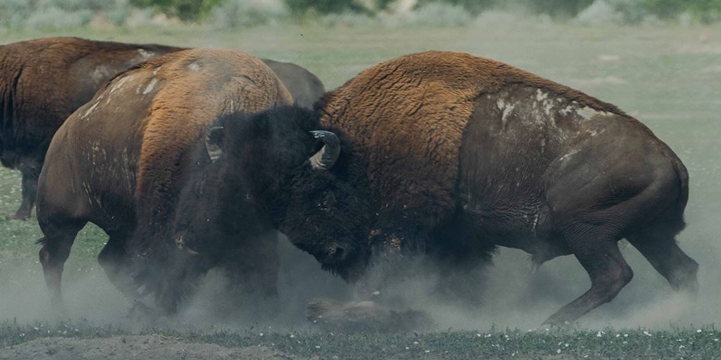 Private banks and RMs joining EAMs lock horns