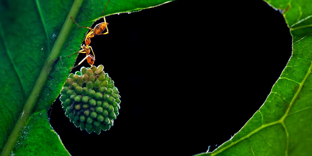 European Equities In Focus