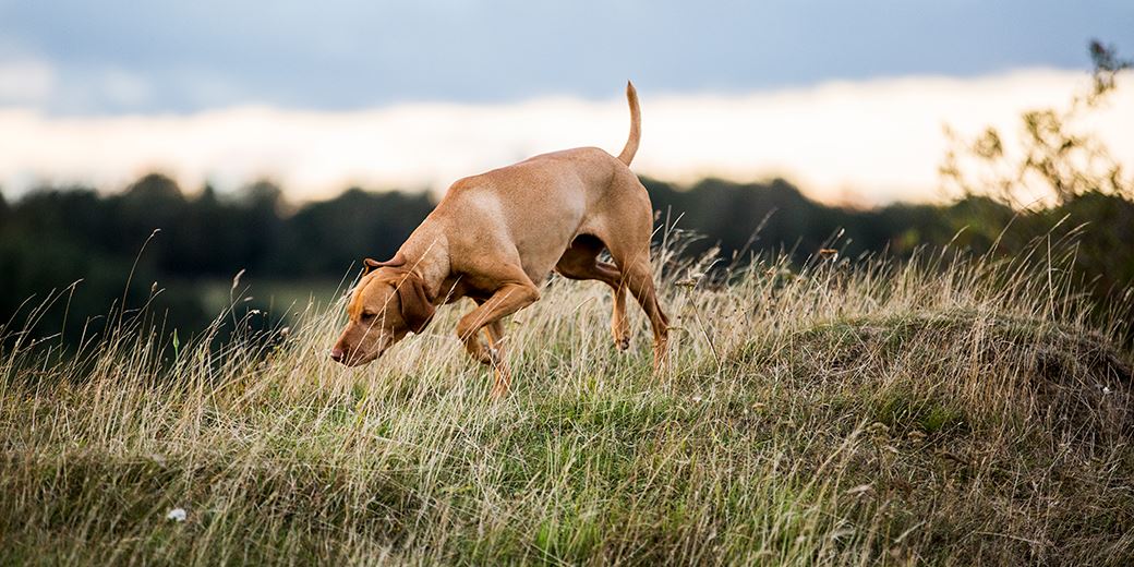 Exclusive: Nutmeg hunts new tech provider for its pension