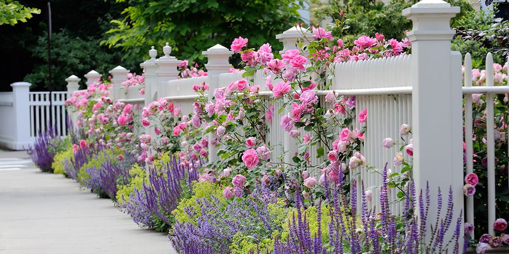 AJ Bell and Transact flows hit by ‘sitting on the fence’ syndrome