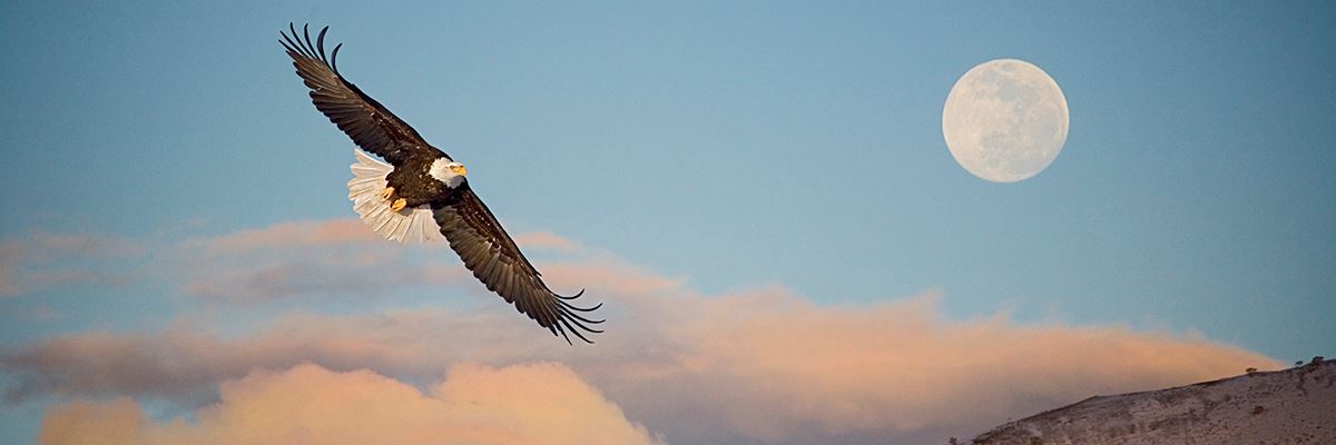 A closer look at small cap star Bill Hench's new First Eagle fund ...