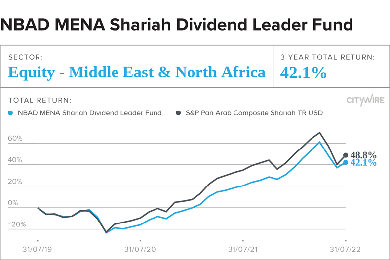 The 10 best performing MENA equity funds over the past three years