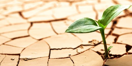 SSGA rebrands factor fund with ESG angle - Citywire