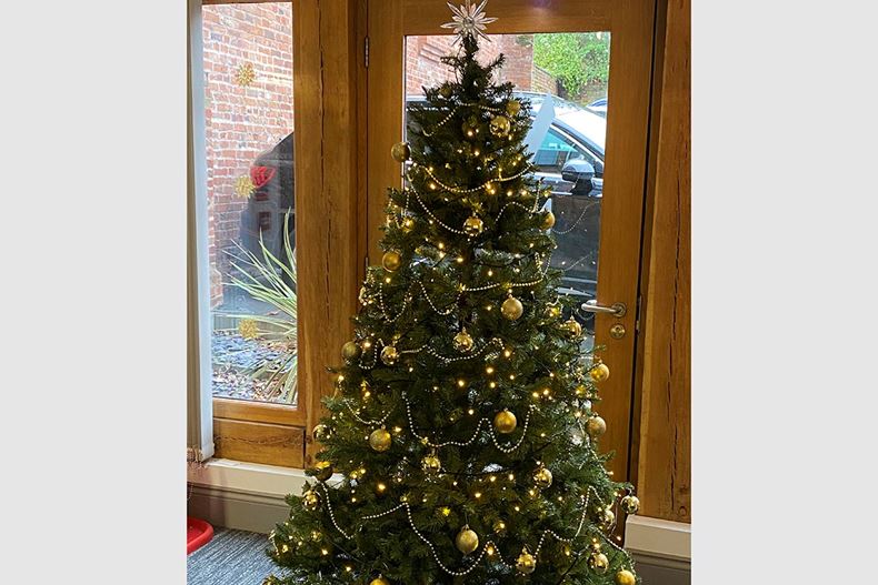 Adviser Christmas tree competition: See whose tree was voted the best