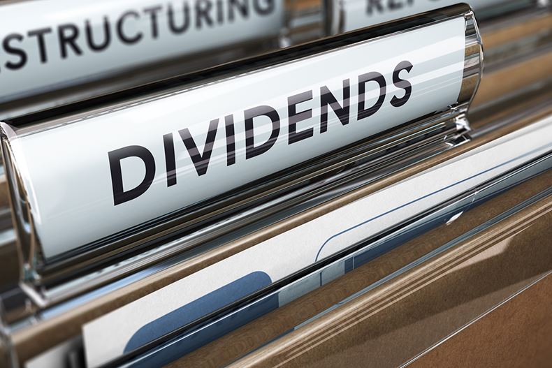 Seven South African dividend equity funds with divergent strategies