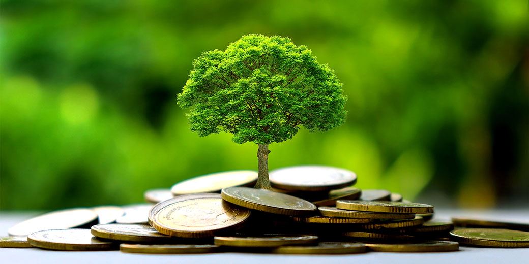 Fidelity brings forward net zero commitment to 2030