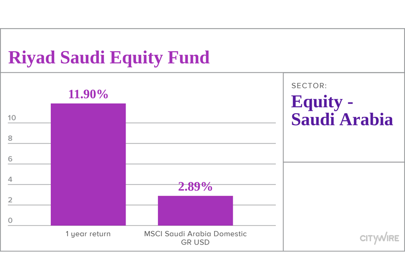 Top performing Saudi equity funds over the past one year