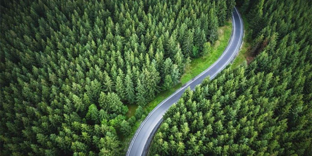 Citywire Selector | Fidelity launches nature roadmap as part of ...