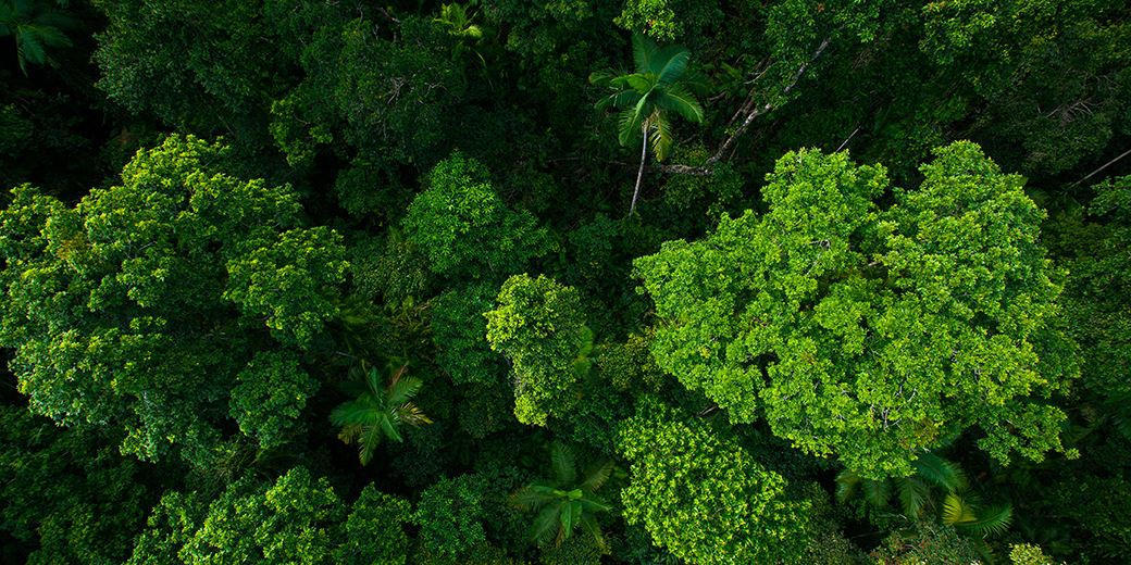 Ostrum AM nomme une directrice des transitions durables