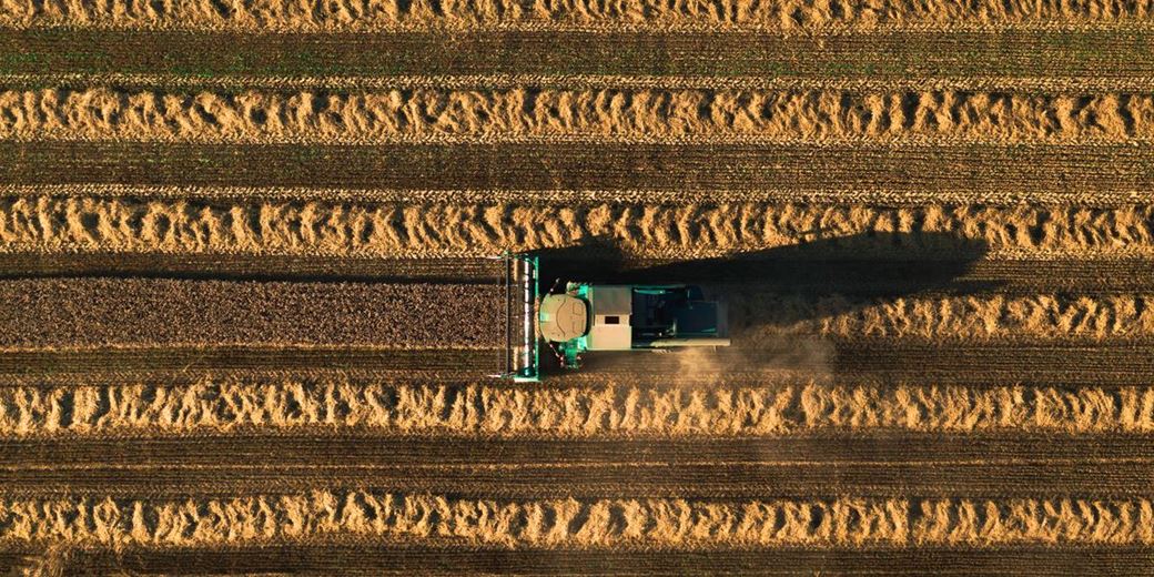 Recovery Special March 2025